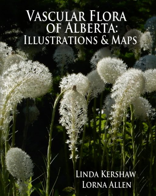 Alberta Native Plant Council
