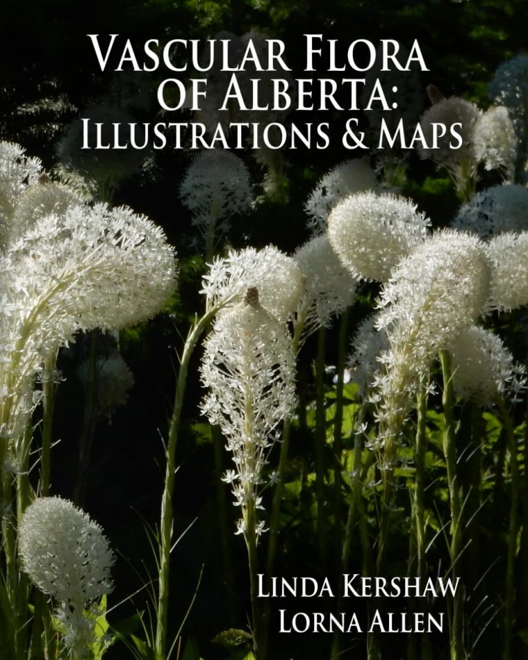 Plant Identification – Alberta Native Plant Council