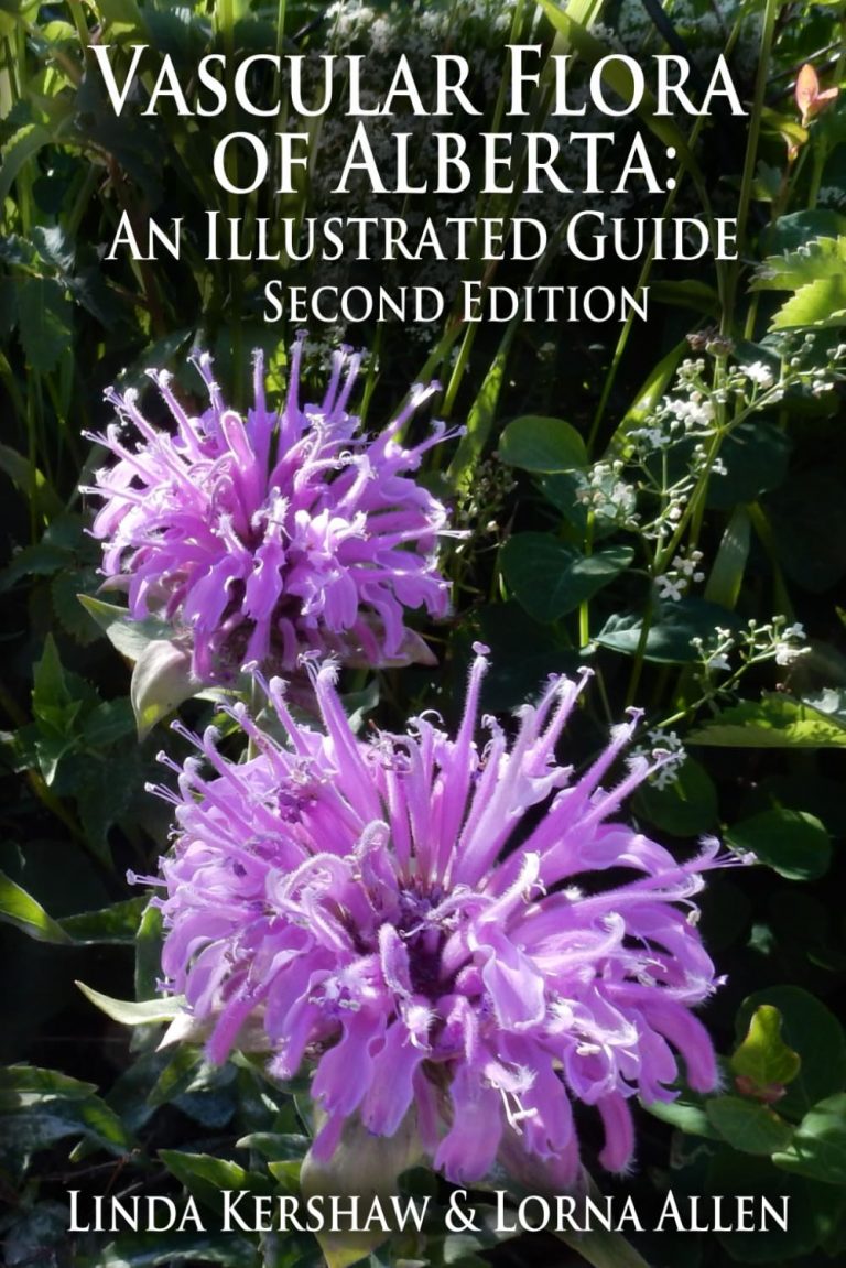 Plant Identification – Alberta Native Plant Council